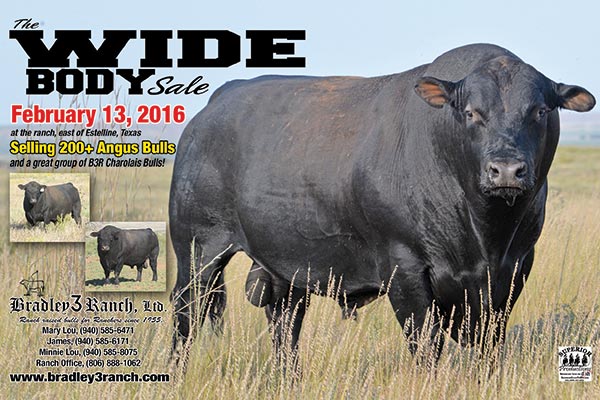 Bradley 3 Ranch - Texas Rancher Girl