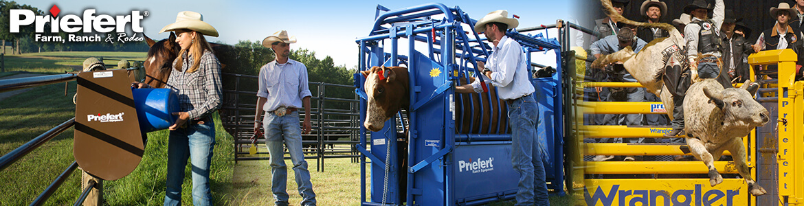 Sale Barn - Texas Rancher Girl